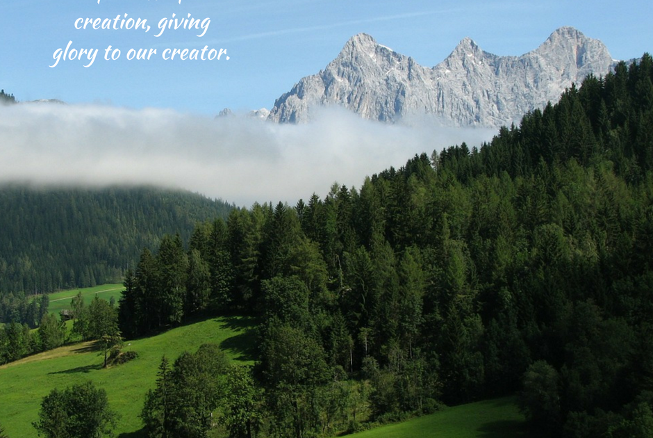 Promotion - Sue Detweiler