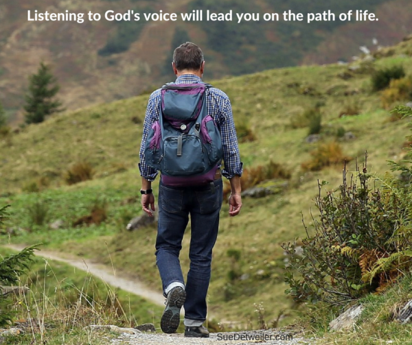 Path of Life | Sue Detweiler Ministries