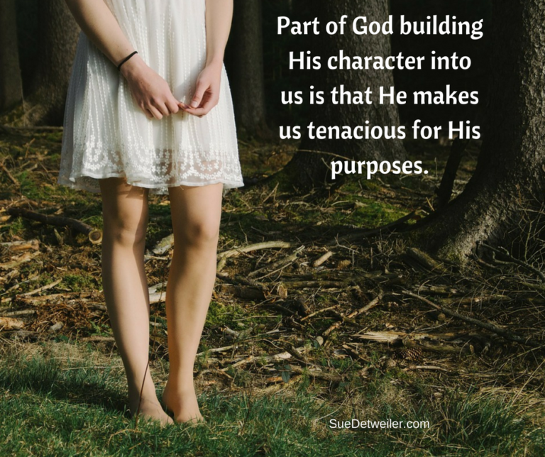 Tenacity (Linkup) | Sue Detweiler Ministries