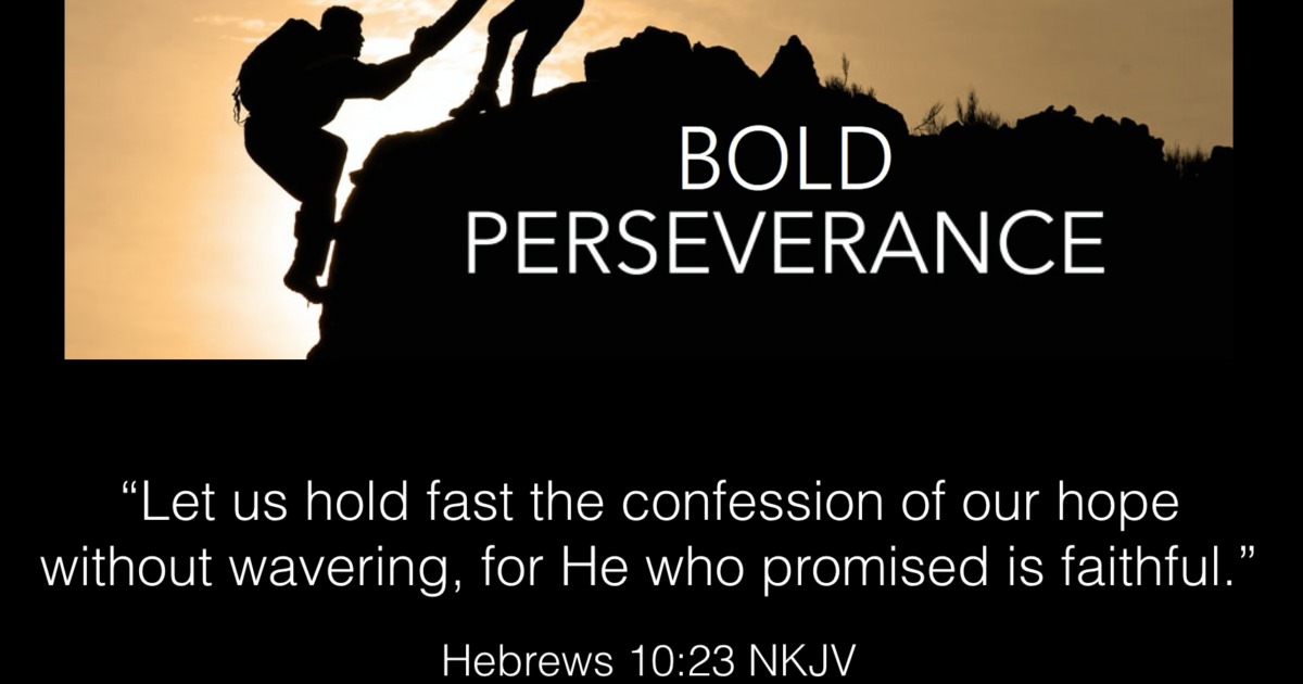 Bold Perseverance - Sue Detweiler