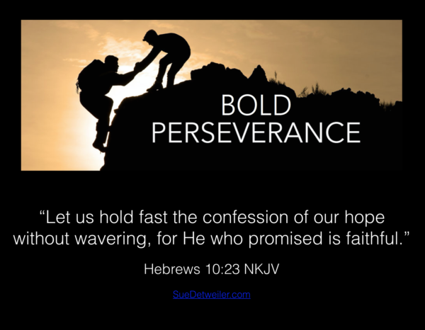 Bold Perseverance | Sue Detweiler Ministries