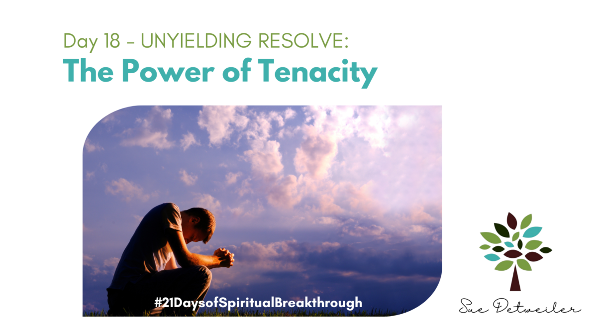 Day 18 - UNYIELDING RESOLVE: The Power of Tenacity | Sue Detweiler ...